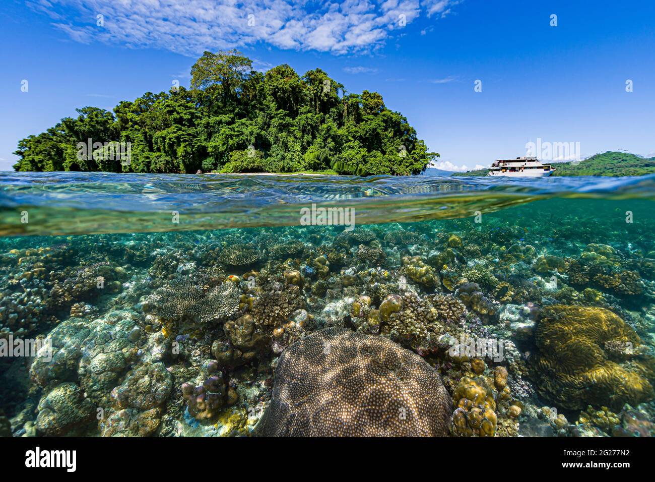 Kimbe papua new guinea hi-res stock photography and images - Alamy