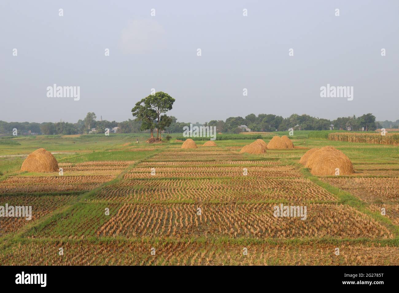 beautiful village view with nature and field Stock Photo - Alamy