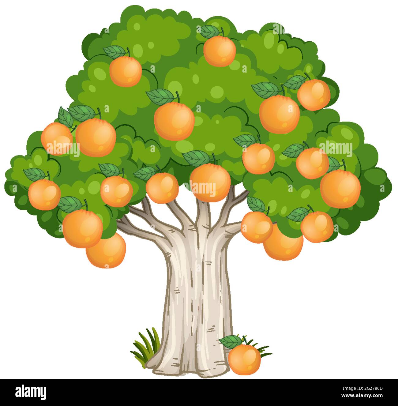 Orange tree isolated on white background illustration Stock Vector ...