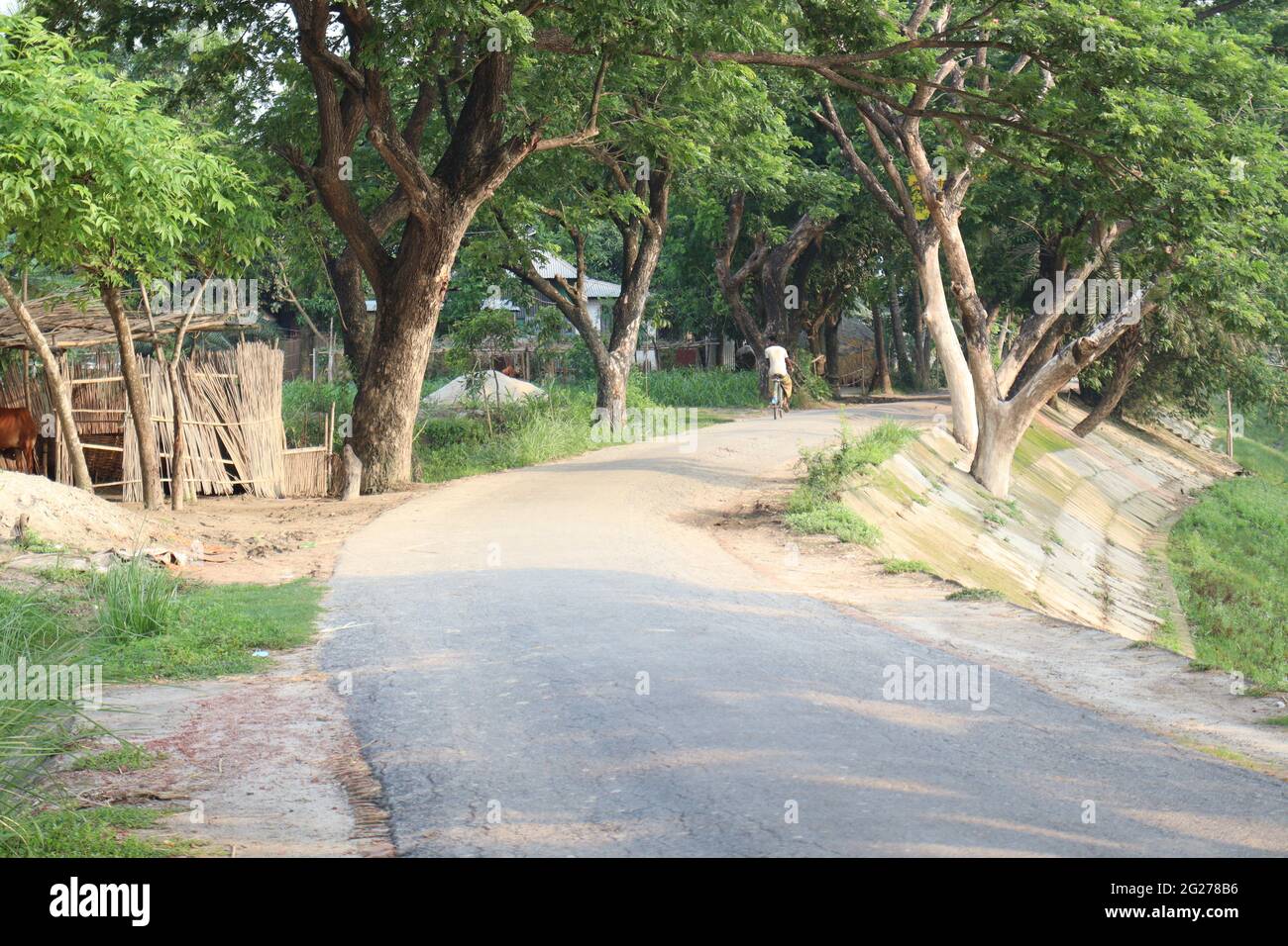 a village road view with nature Stock Photo - Alamy