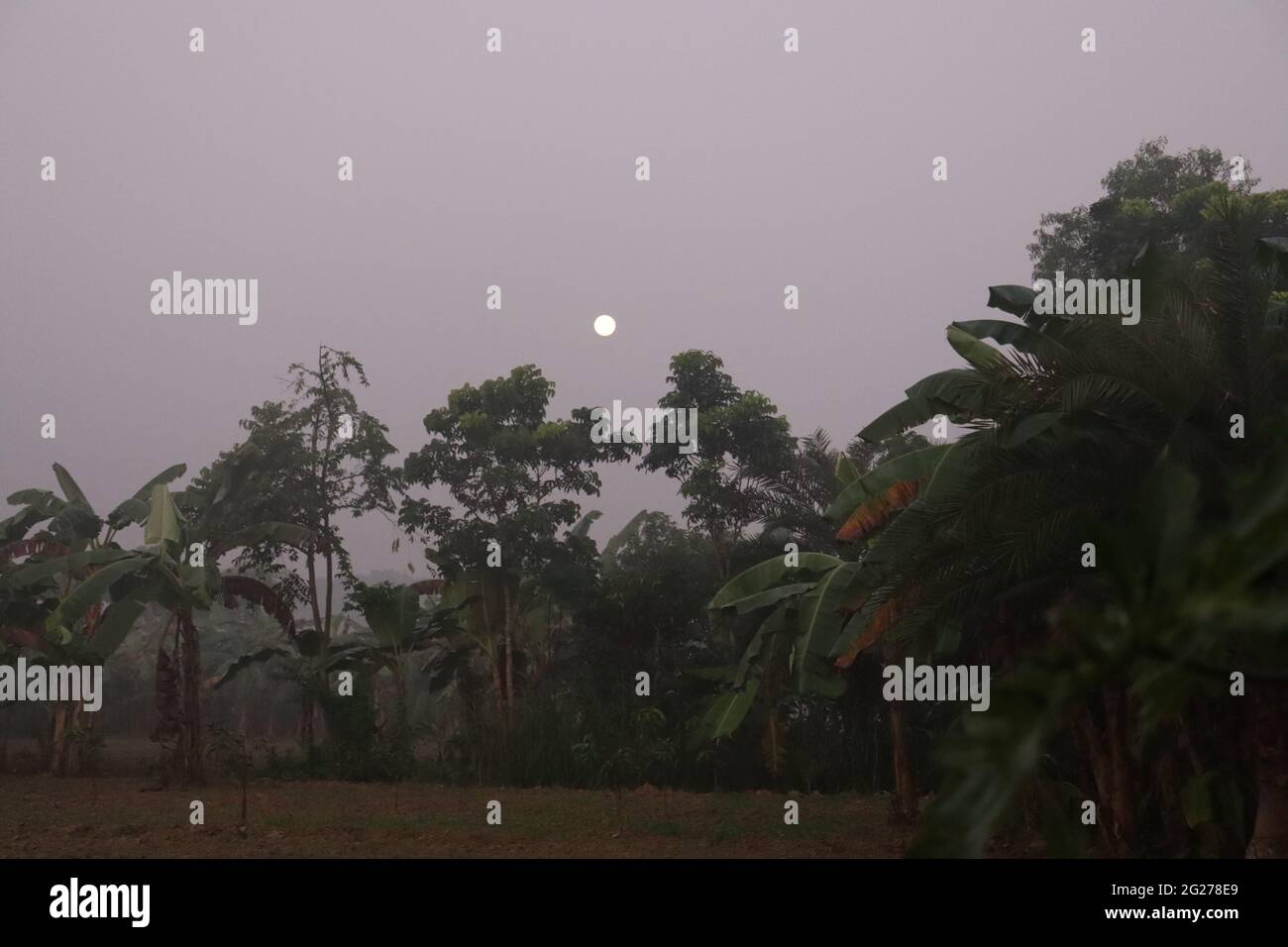 beautiful village view with nature and field Stock Photo - Alamy