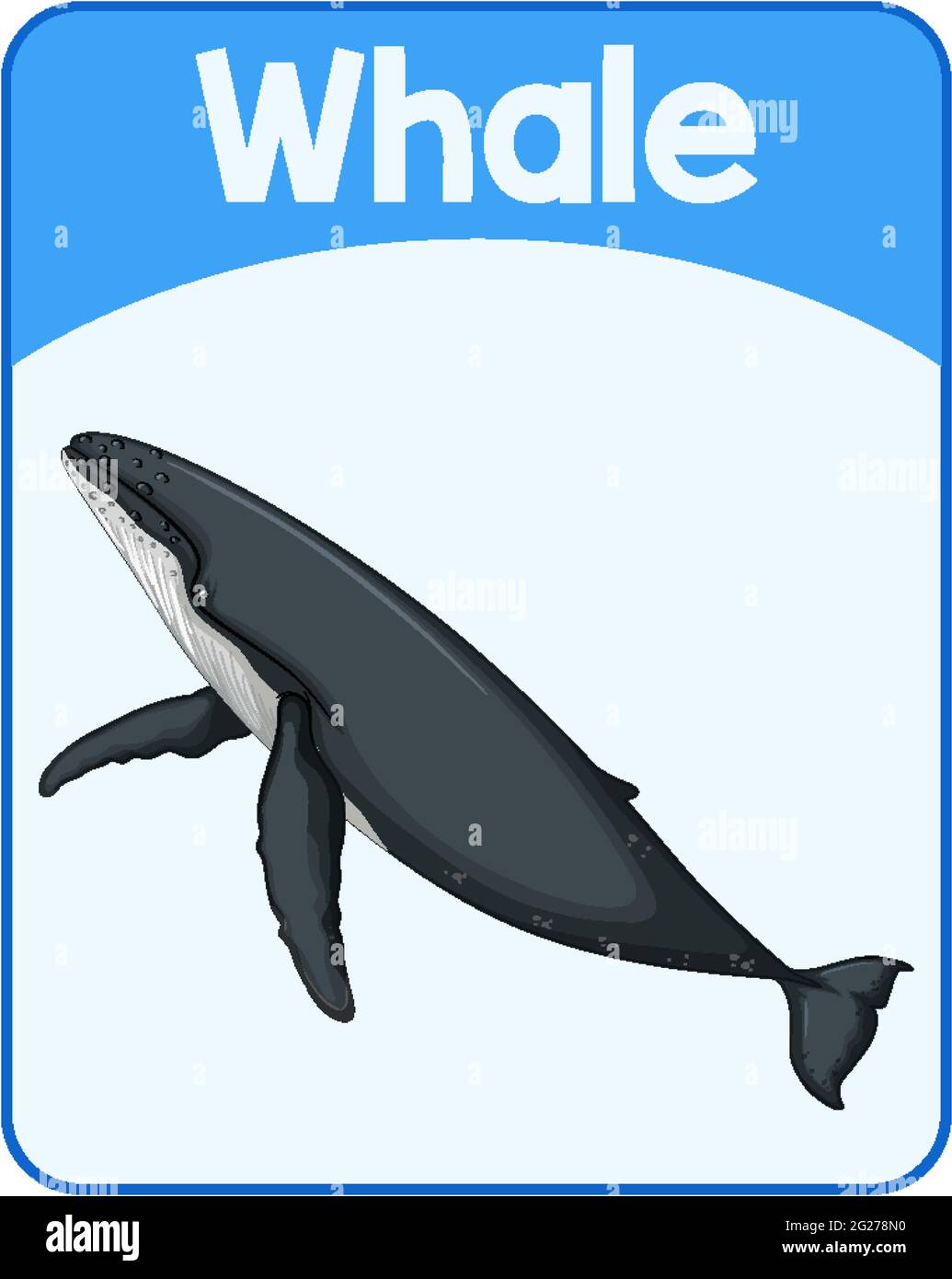 Educational English word card of Whale illustration Stock Vector Image & Art - Alamy