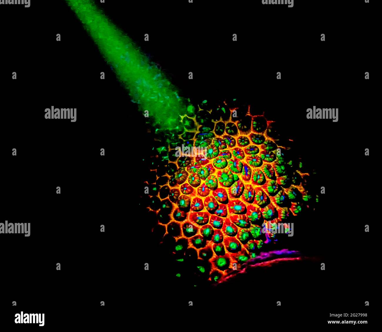 Fluorescence background hi-res stock photography and images - Alamy
