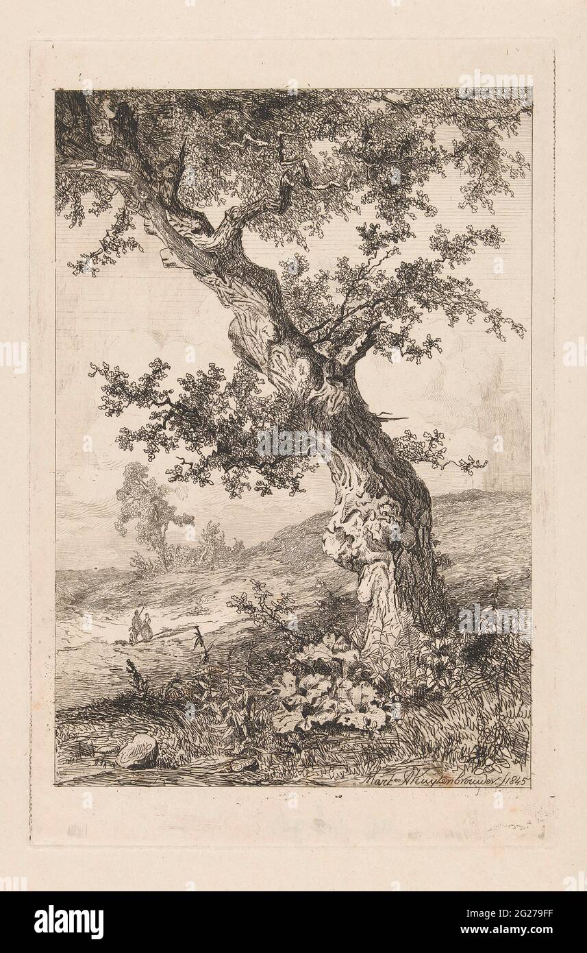 Hilly landscape with a crooked tree and two hikers. In a hilly ...