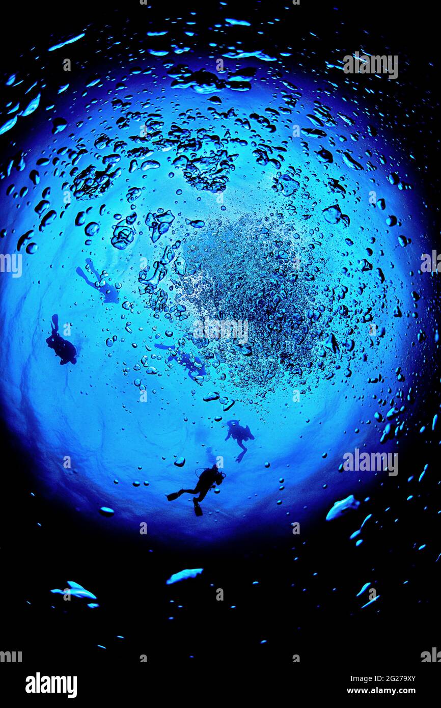 Blue water divers hi-res stock photography and images - Alamy