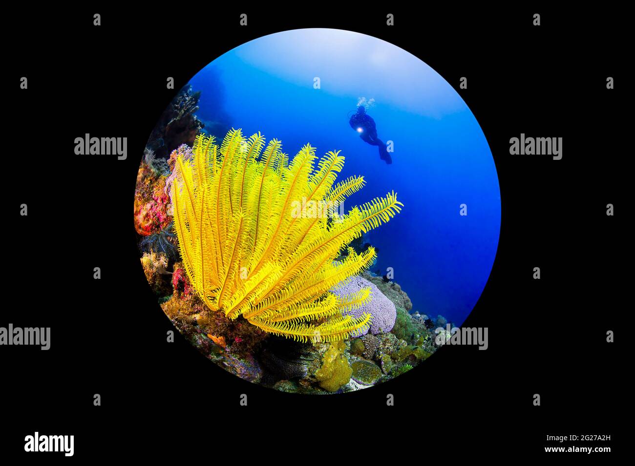 Philippines silhouette hi-res stock photography and images - Alamy