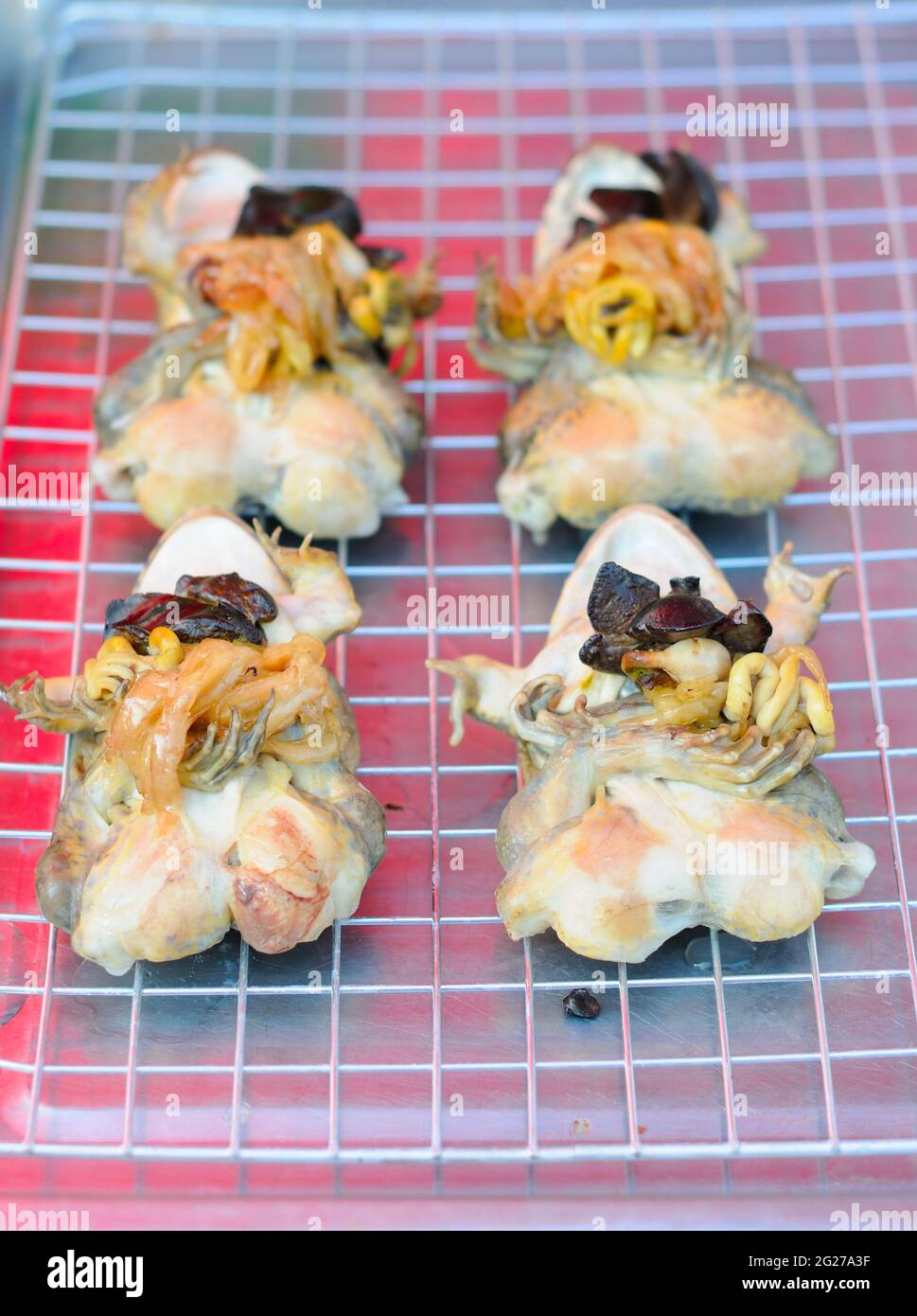 Asian frogs hi-res stock photography and images - Alamy