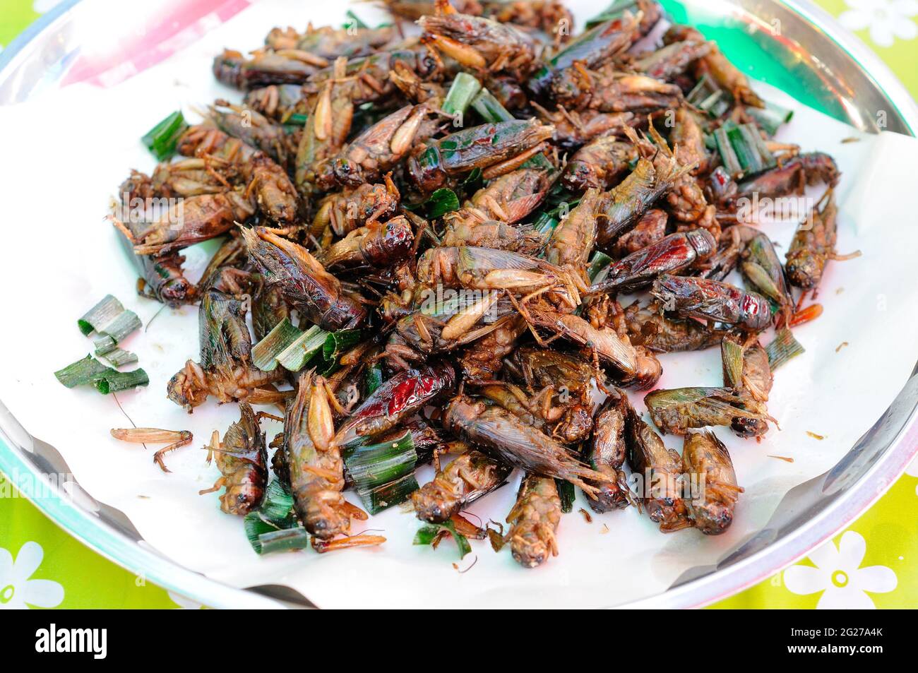 Crunchy Fried Crickets Stock Photo - Alamy