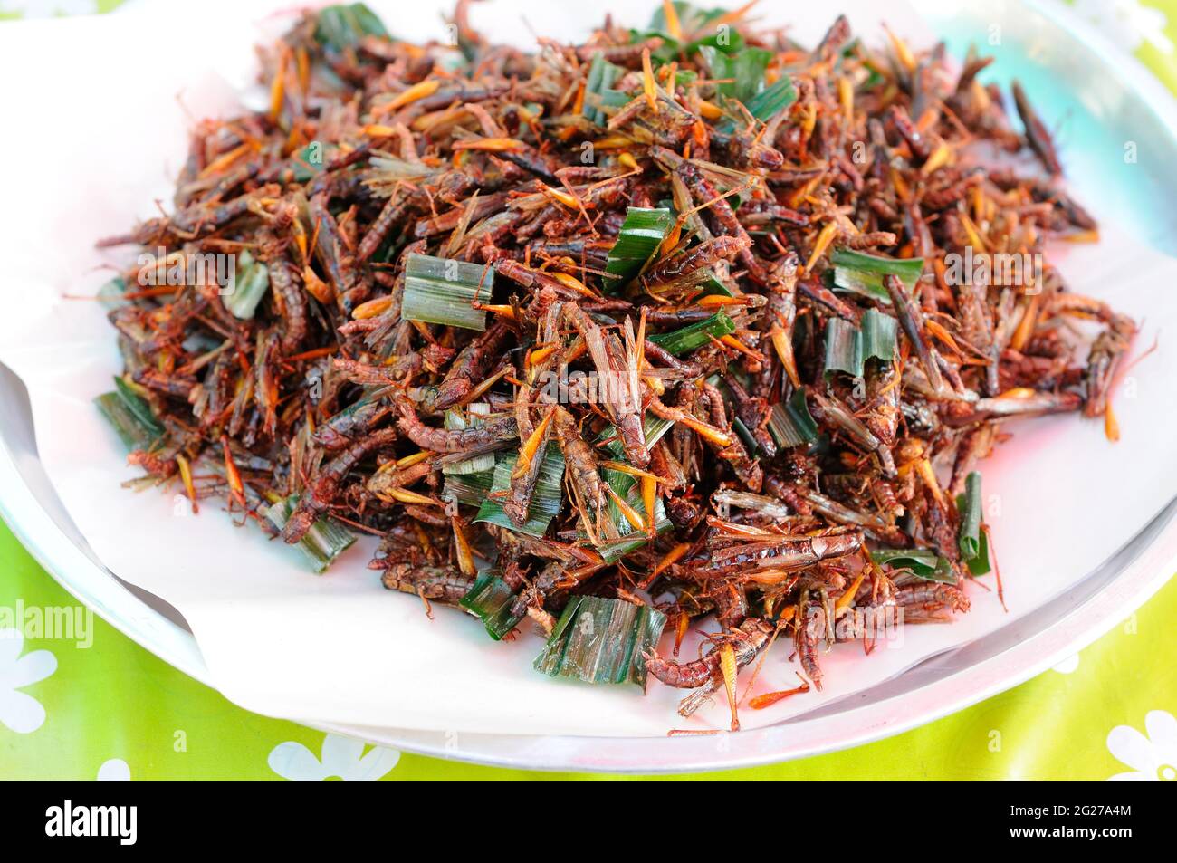 Crunchy Fried Grasshoppers Stock Photo - Alamy