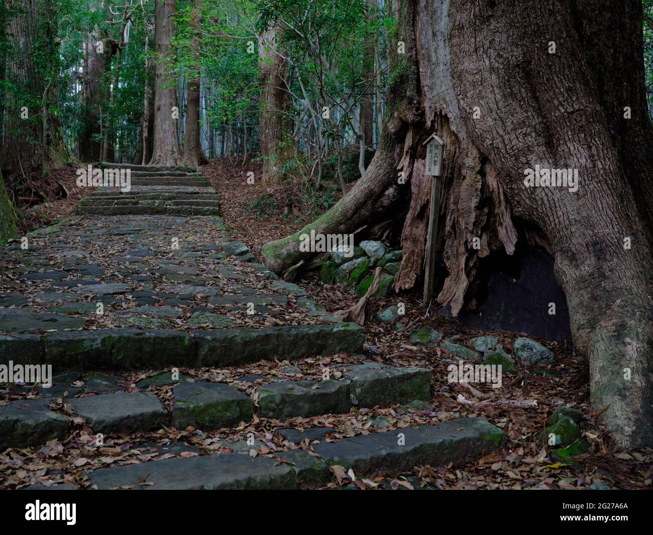 Kumano kodo autumn hi-res stock photography and images - Alamy