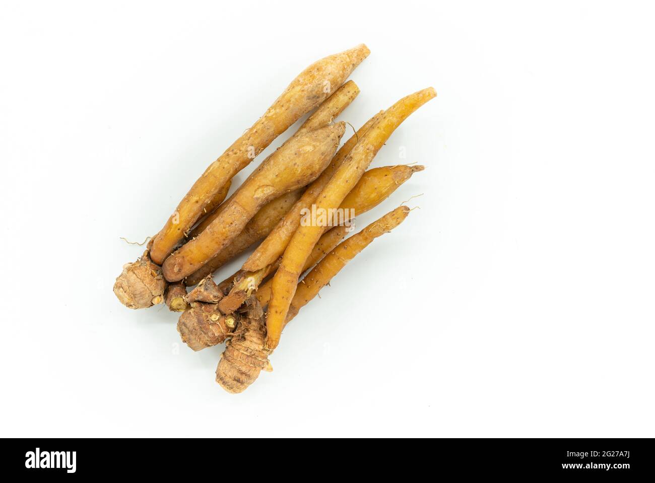 Finger root hi-res stock photography and images - Alamy
