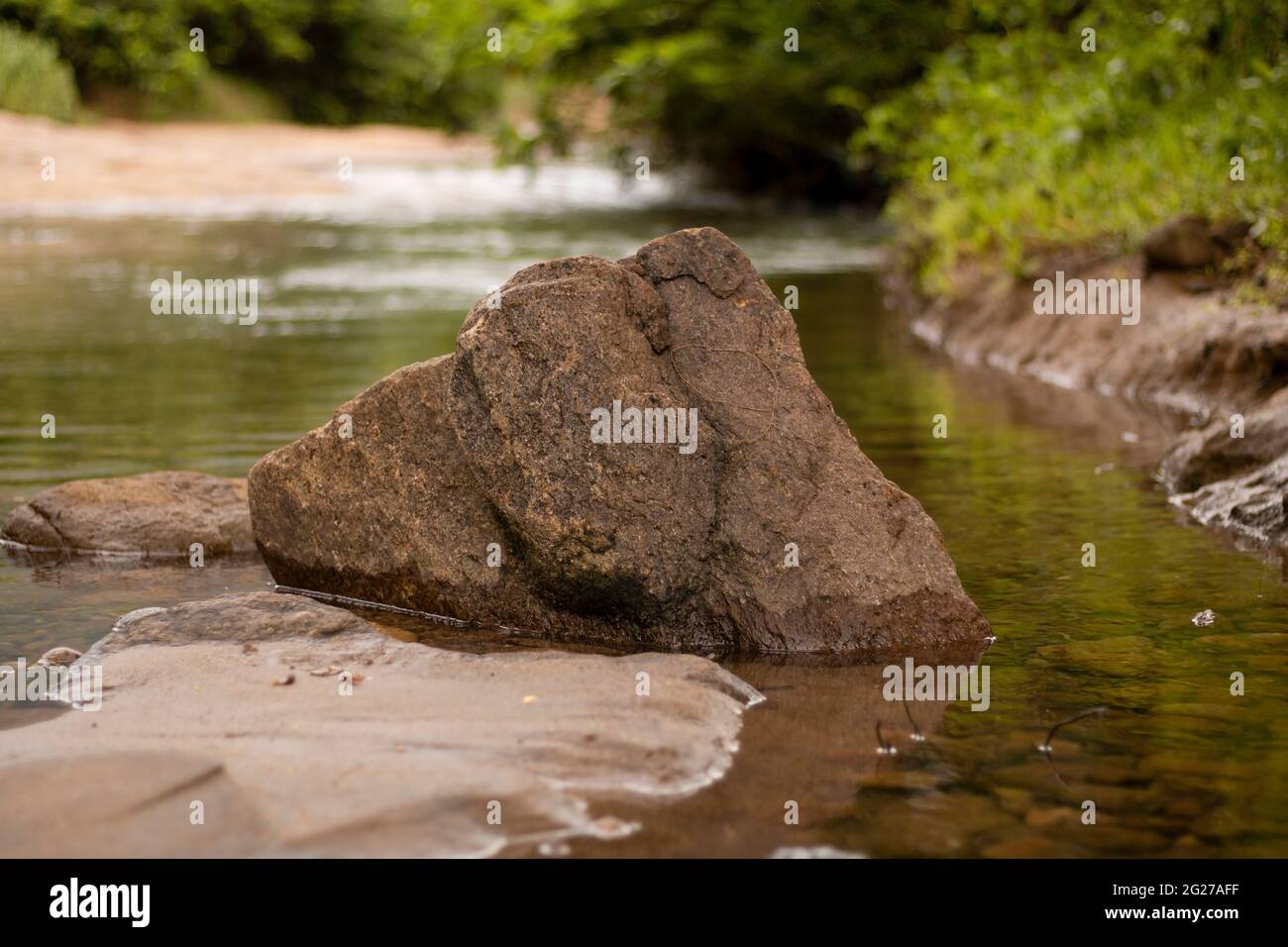Stream bed in Western Ghats Stock Photo - Alamy