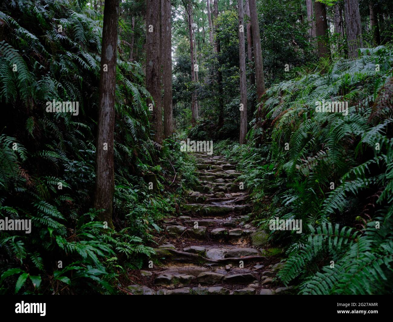 Kii peninsula hi-res stock photography and images - Alamy