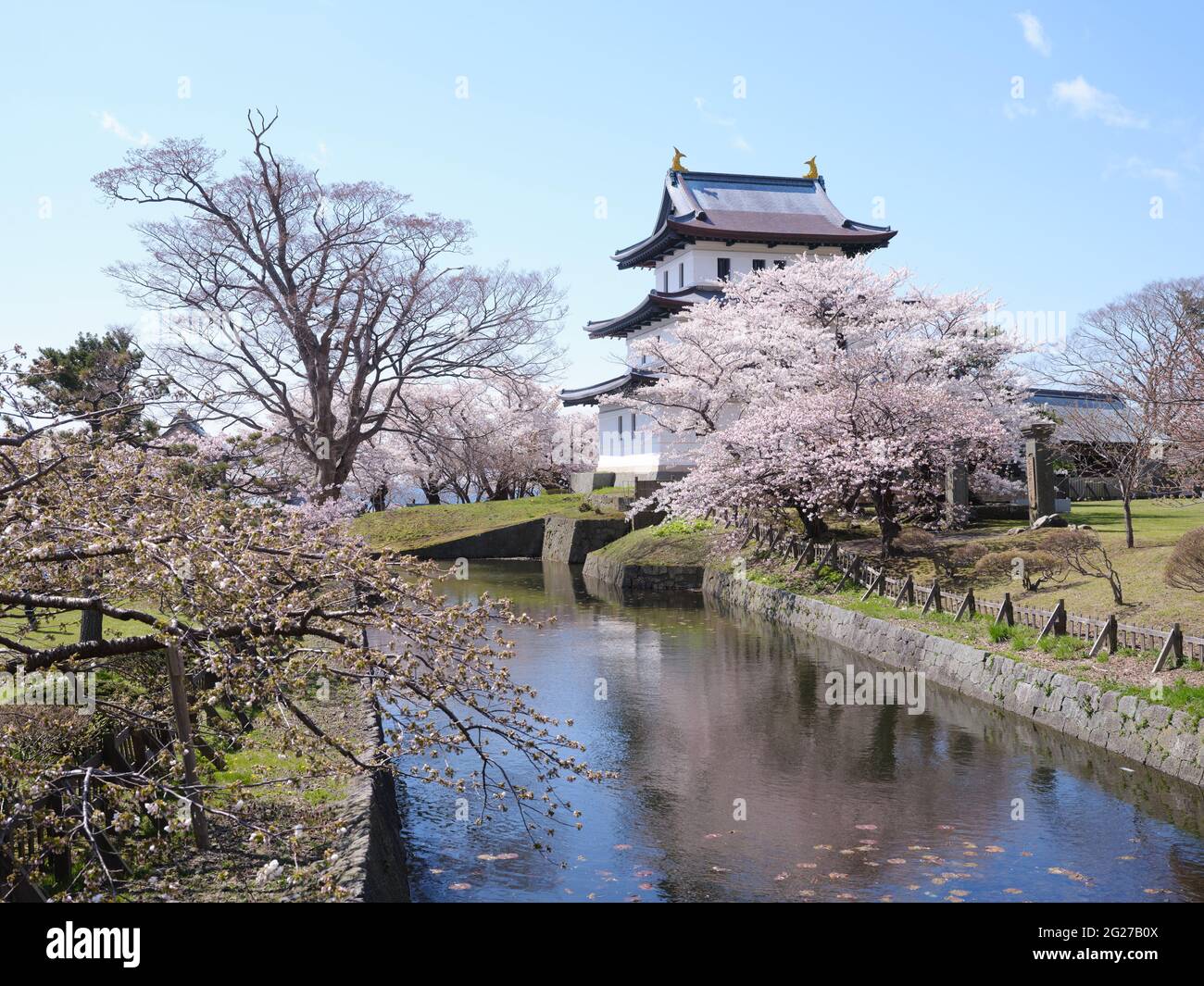 Cherry Blossoms in Matsumae Castle, Hokkaido, Japan Stock Photo - Alamy