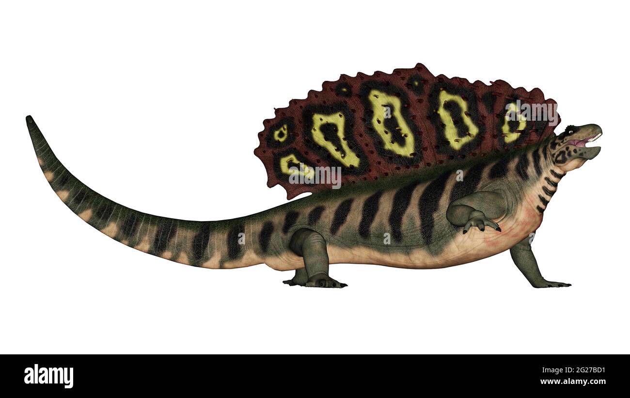 Edaphosaurus Edaphosaurus Wikiwand