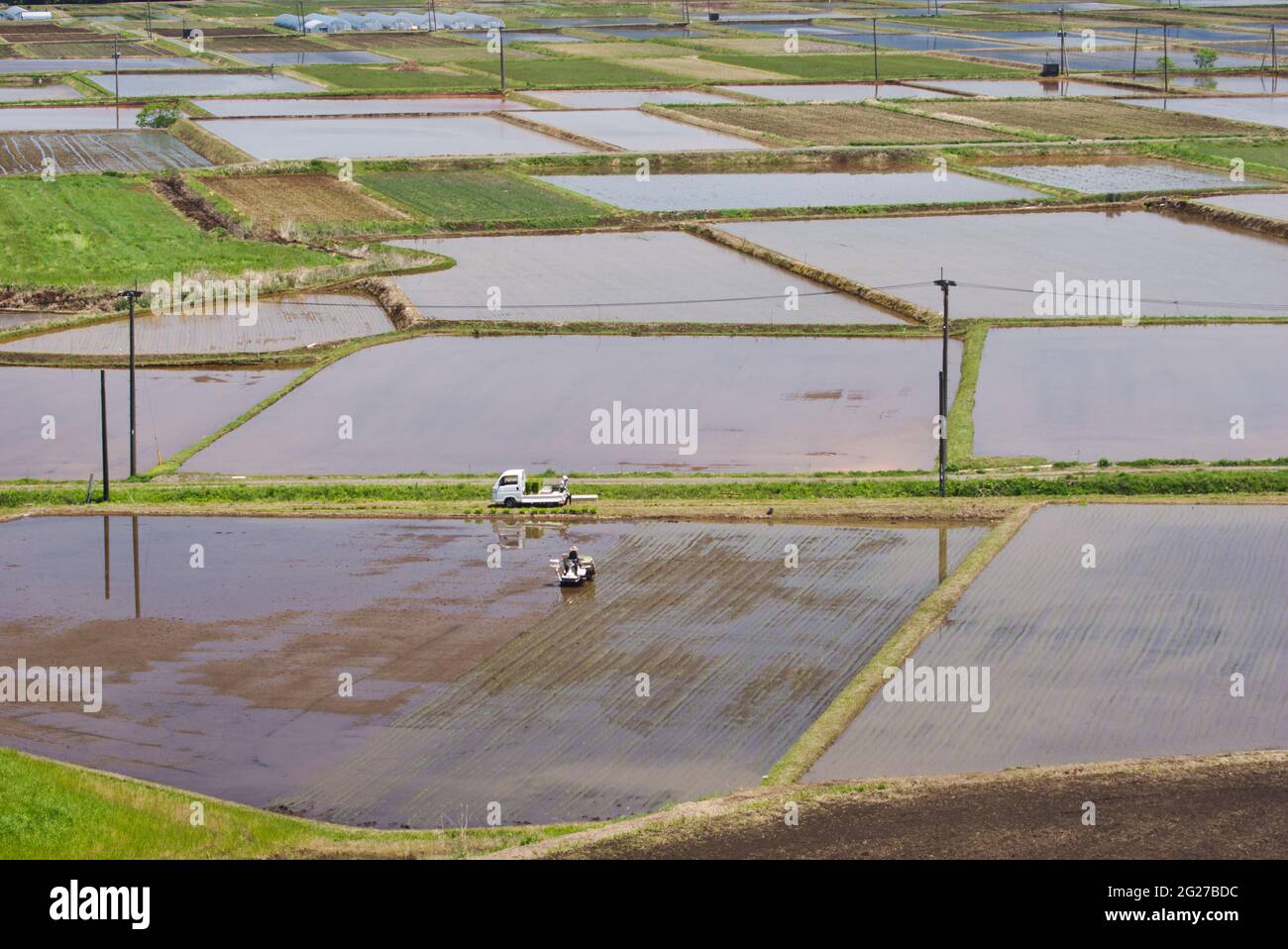 Rice Paddy in Caldera of Aso, Kumamoto Prefecture, Japan Stock Photo ...