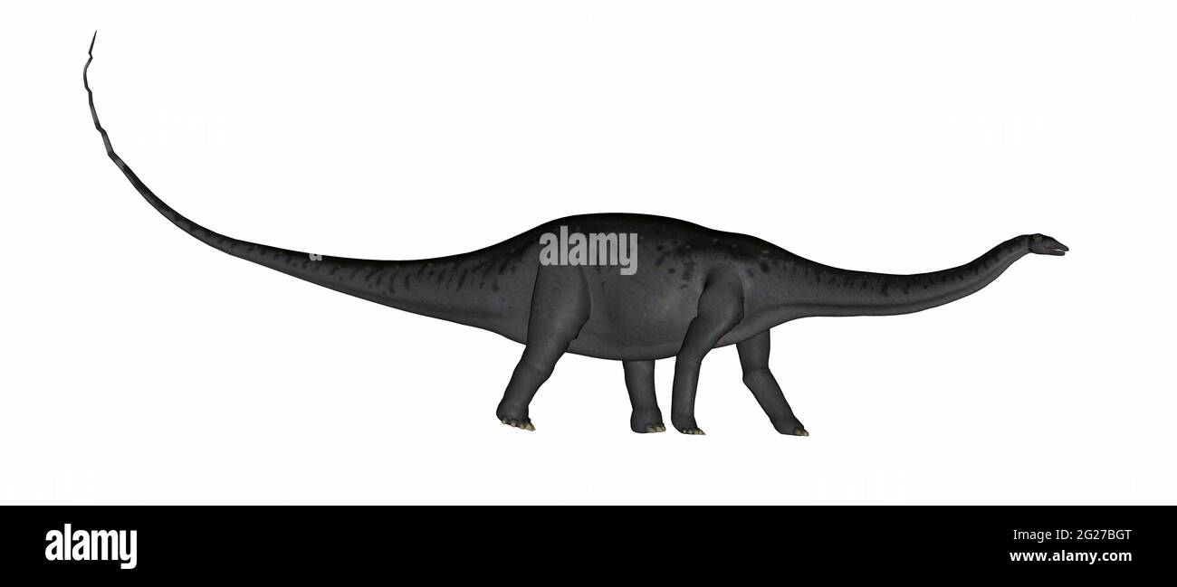 Apatosaurus Dinosaur