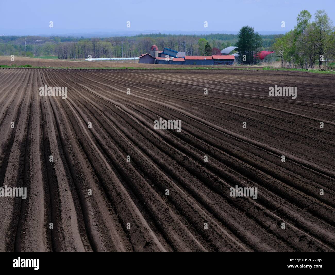 Field in spring Stock Photo - Alamy