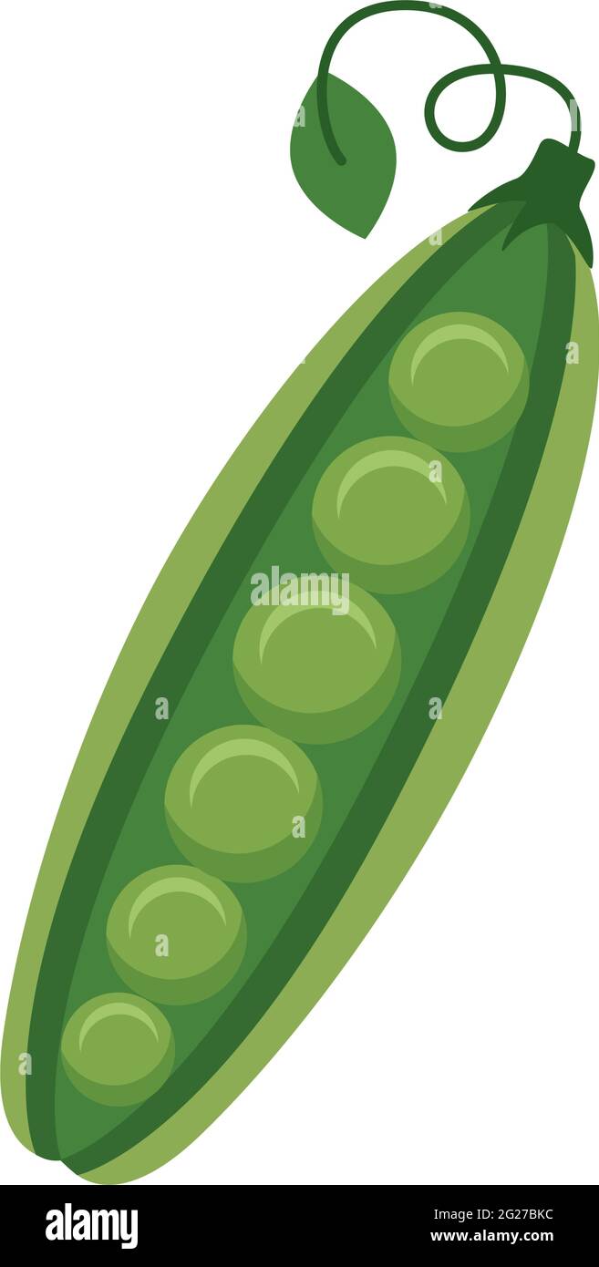 beans seeds vegetables minerals source Stock Vector Image & Art - Alamy