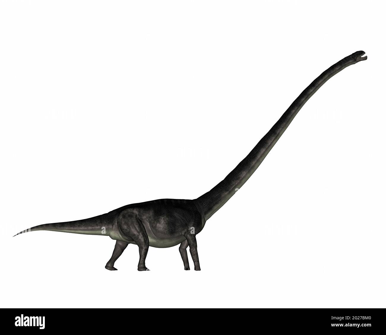 Omeisaurus dinosaur - 3D render Stock Photo - Alamy