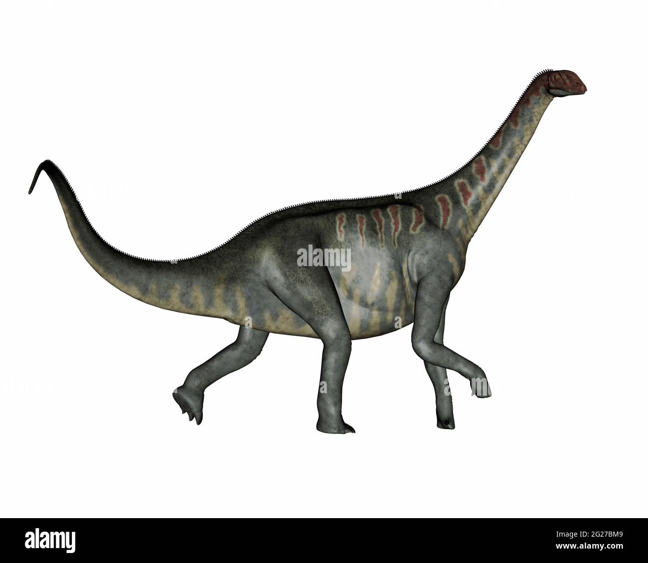 Jobaria dinosaur walking, isolated on white background Stock Photo - Alamy