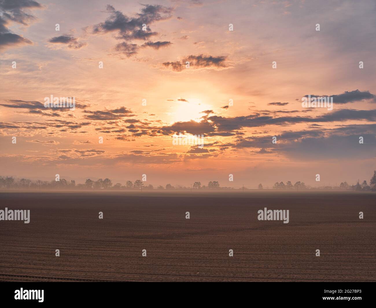 Field at Dawn Stock Photo - Alamy
