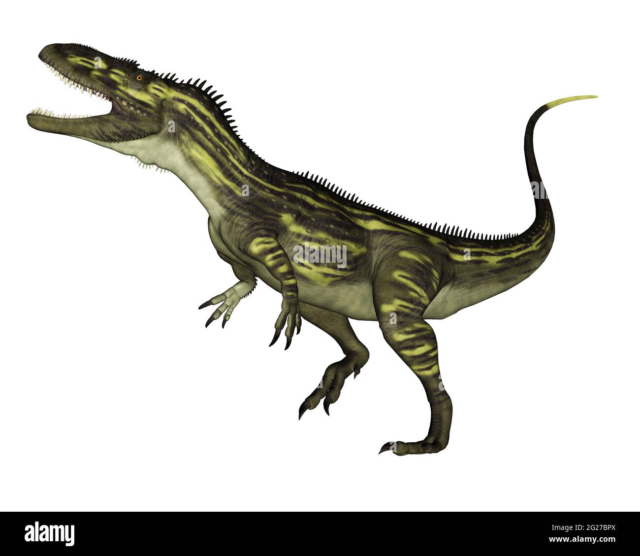 Torvosaurus Skeleton