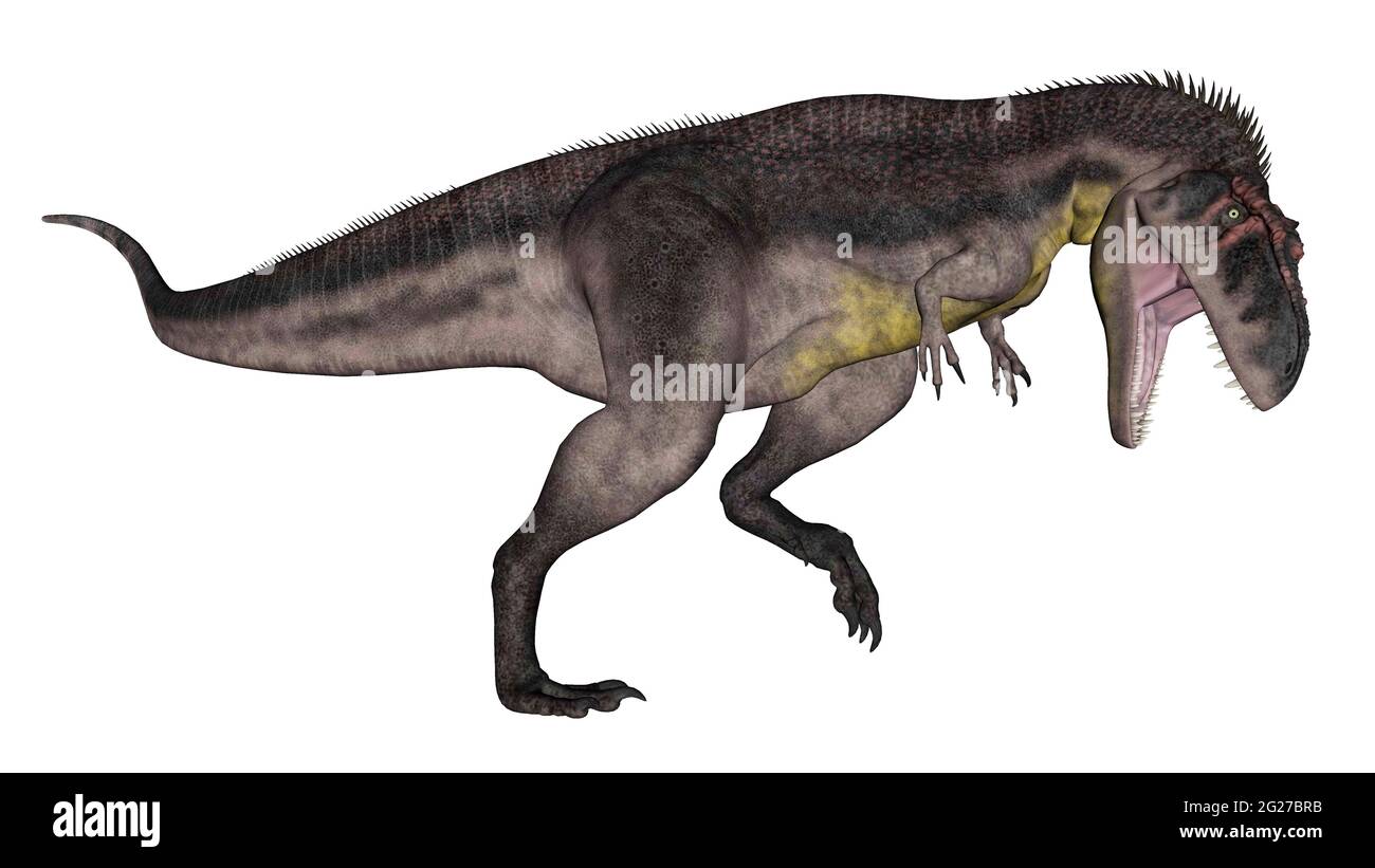 Tyrannotitan dinosaur Cut Out Stock Images & Pictures - Alamy