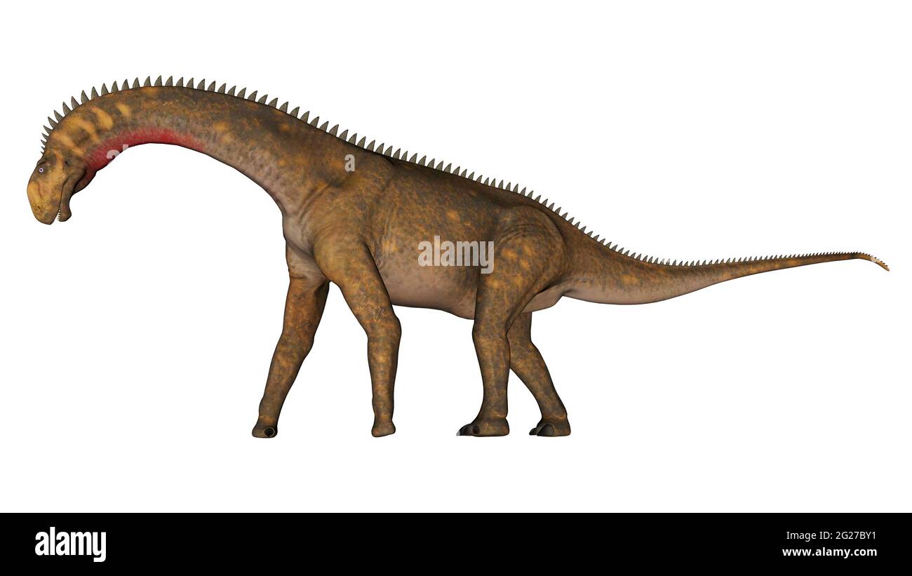 Mierasaurus dinosaur walking, side view isolated on white background ...