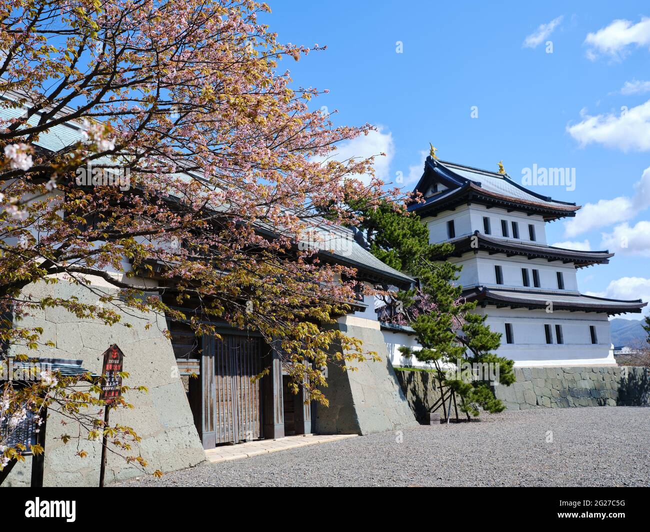 Cherry Blossoms in Matsumae Castle, Hokkaido, Japan Stock Photo - Alamy