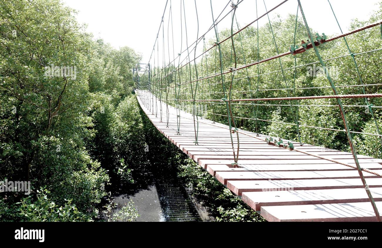 Rope bridge jungle hi-res stock photography and images - Alamy