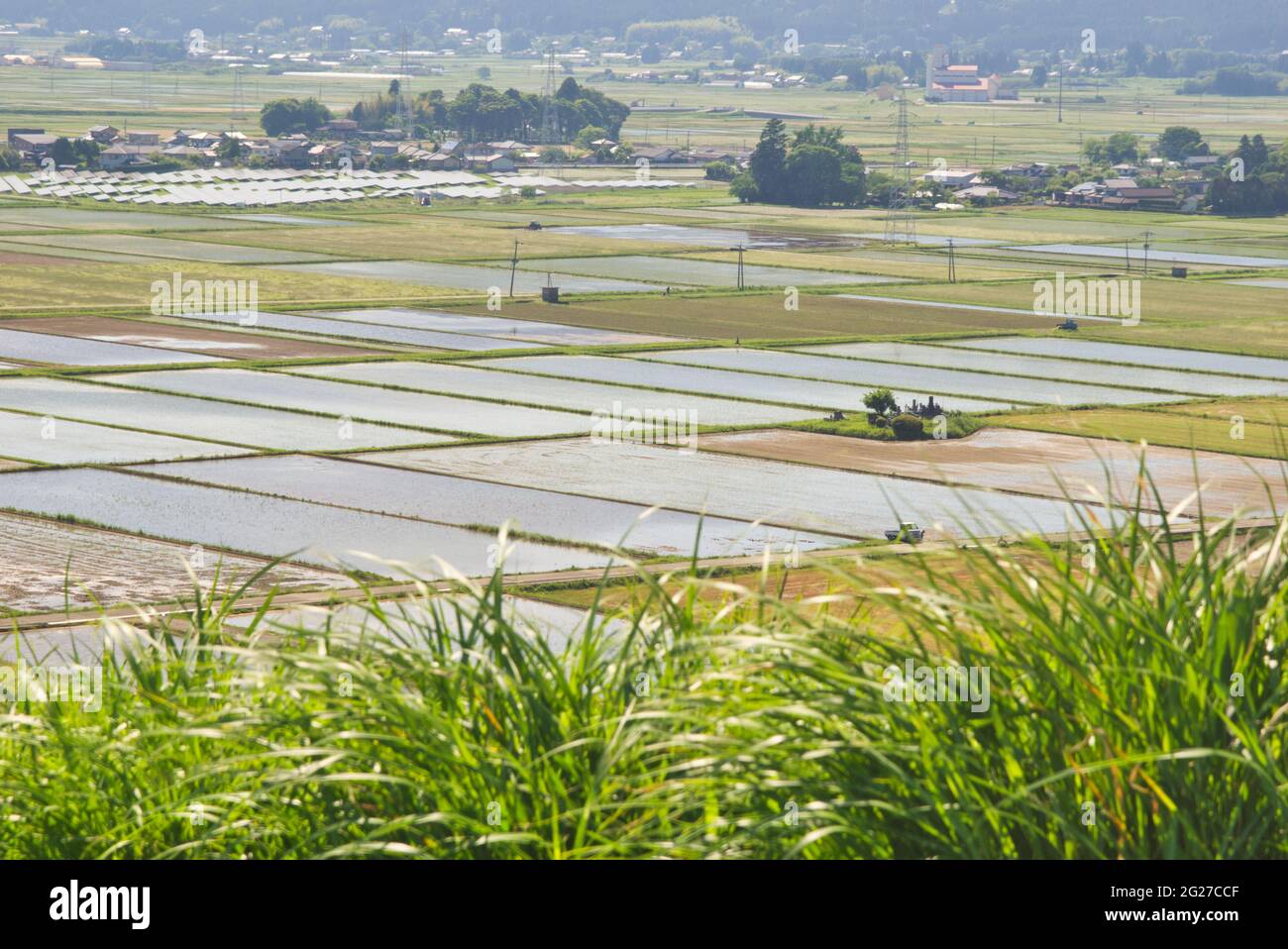 Rice Paddy in Caldera of Aso, Kumamoto Prefecture, Japan Stock Photo ...
