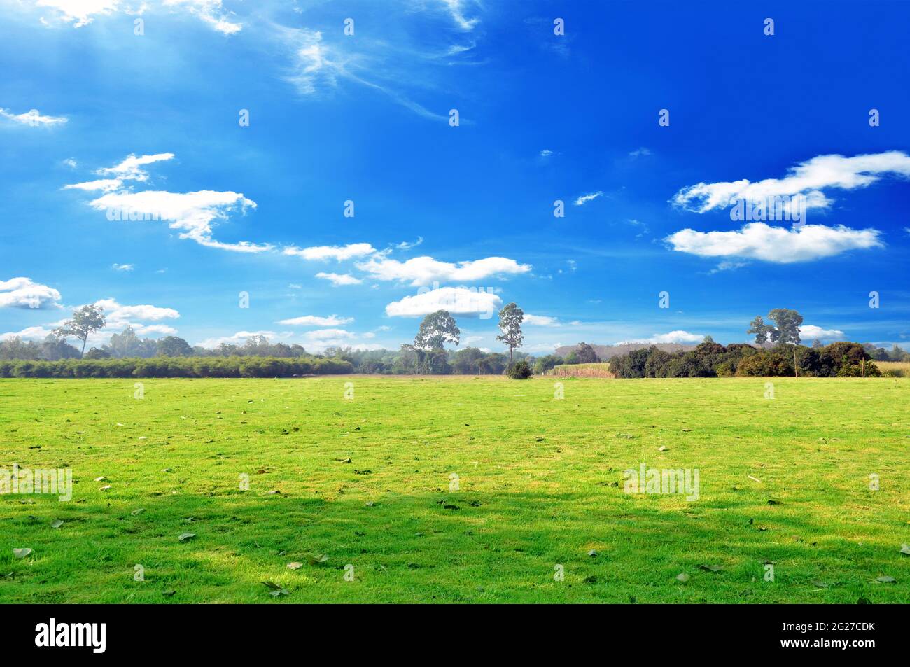 Beautiful green field in sunny blue sky - park, farming and natural ...