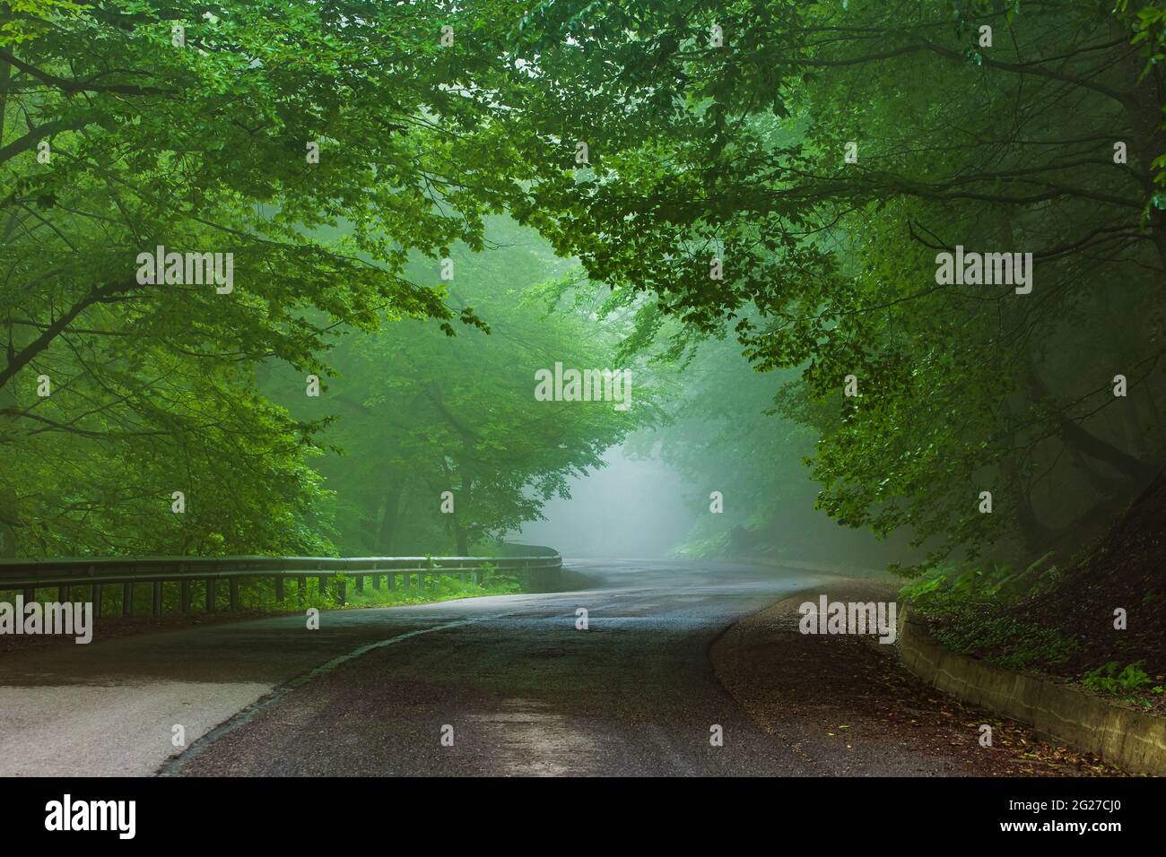 Sabaduri forest in summer, a beautiful place in the north of Tbilisi ...
