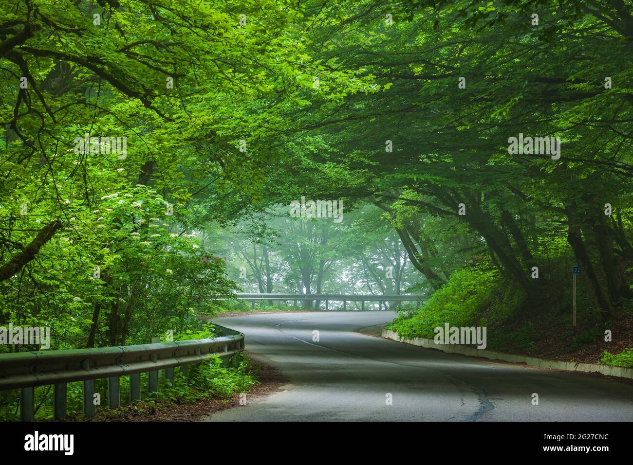 Sabaduri forest in summer, a beautiful place in the north of Tbilisi ...