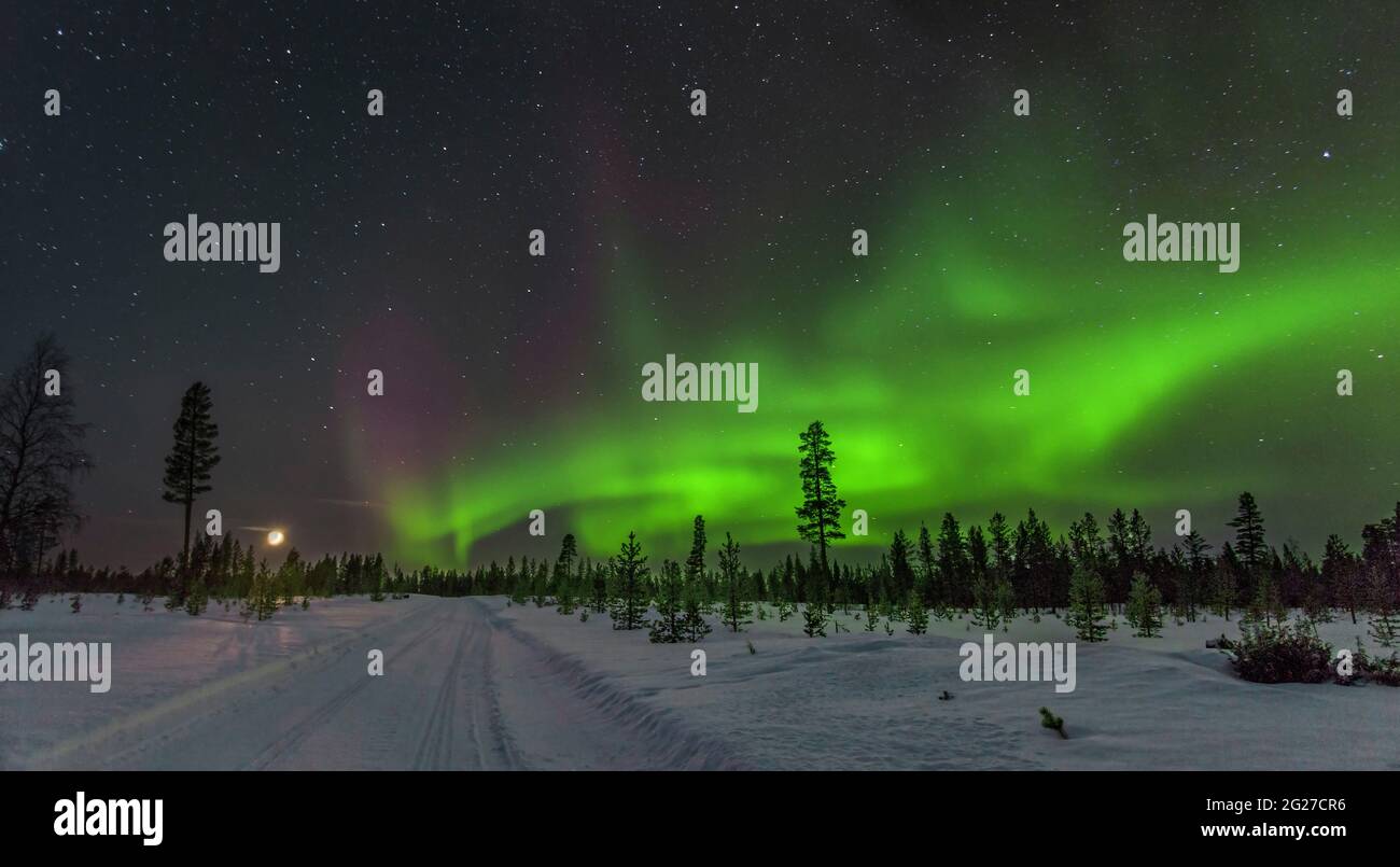 Northern lights in Lapland forest, Finland Stock Photo - Alamy