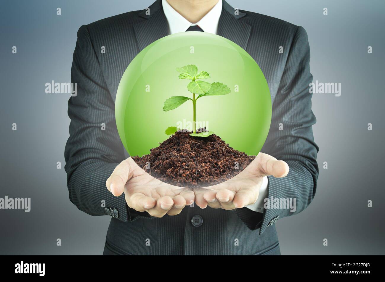 Businessman holding green sapling with soil inside the sphere ...