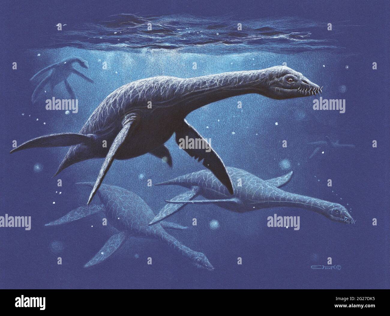 Prehistoric undersea hi-res stock photography and images - Alamy