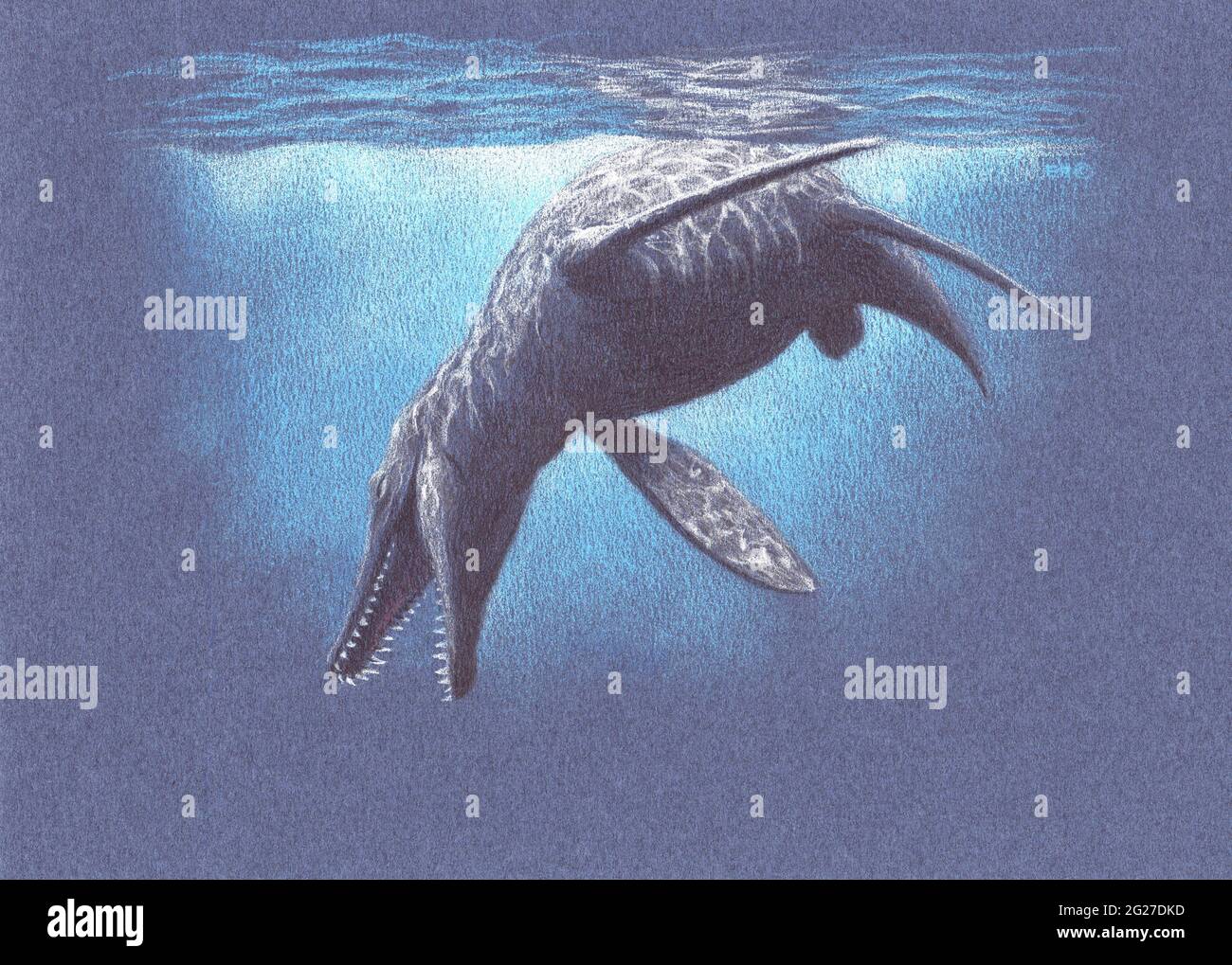 Pliosaurus dinosaur hi-res stock photography and images - Alamy