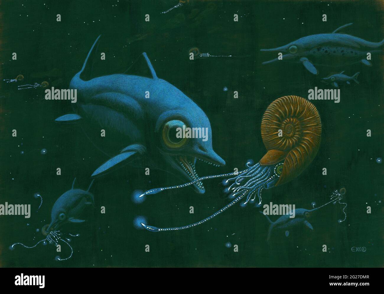 Jurassic ammonites artwork hi-res stock photography and images - Alamy