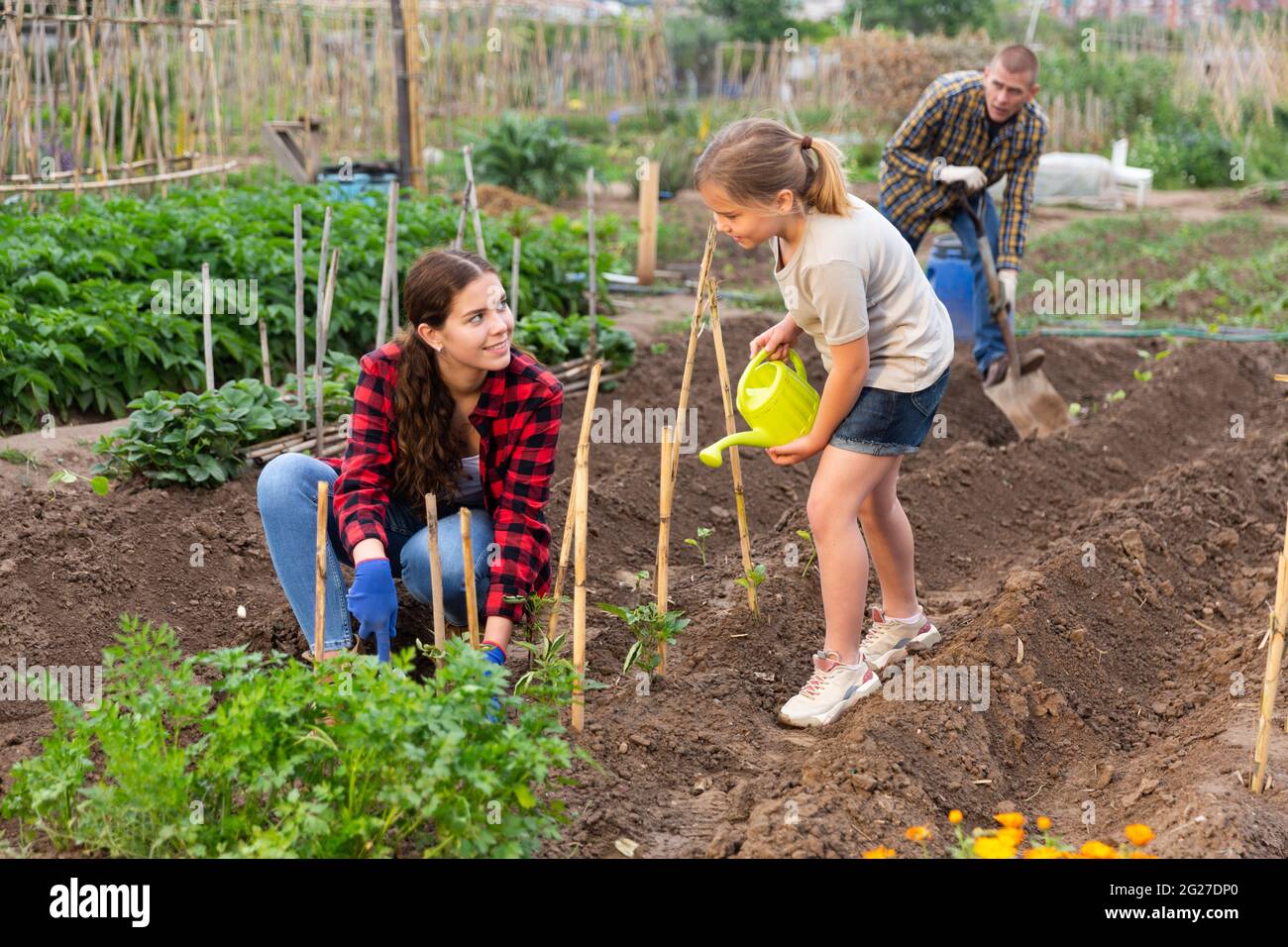 Friendly family working together on backyard garden Stock Photo - Alamy