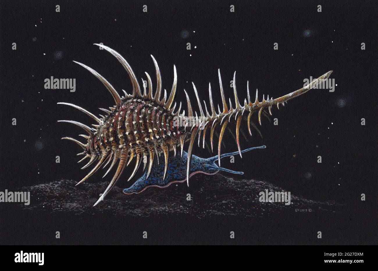 Spiked snail hi-res stock photography and images - Alamy