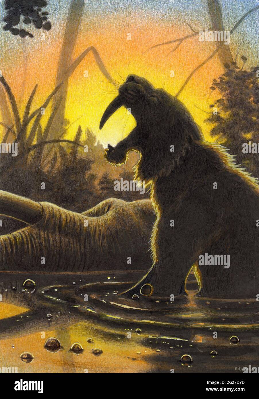 Tiger pits hi-res stock photography and images - Alamy