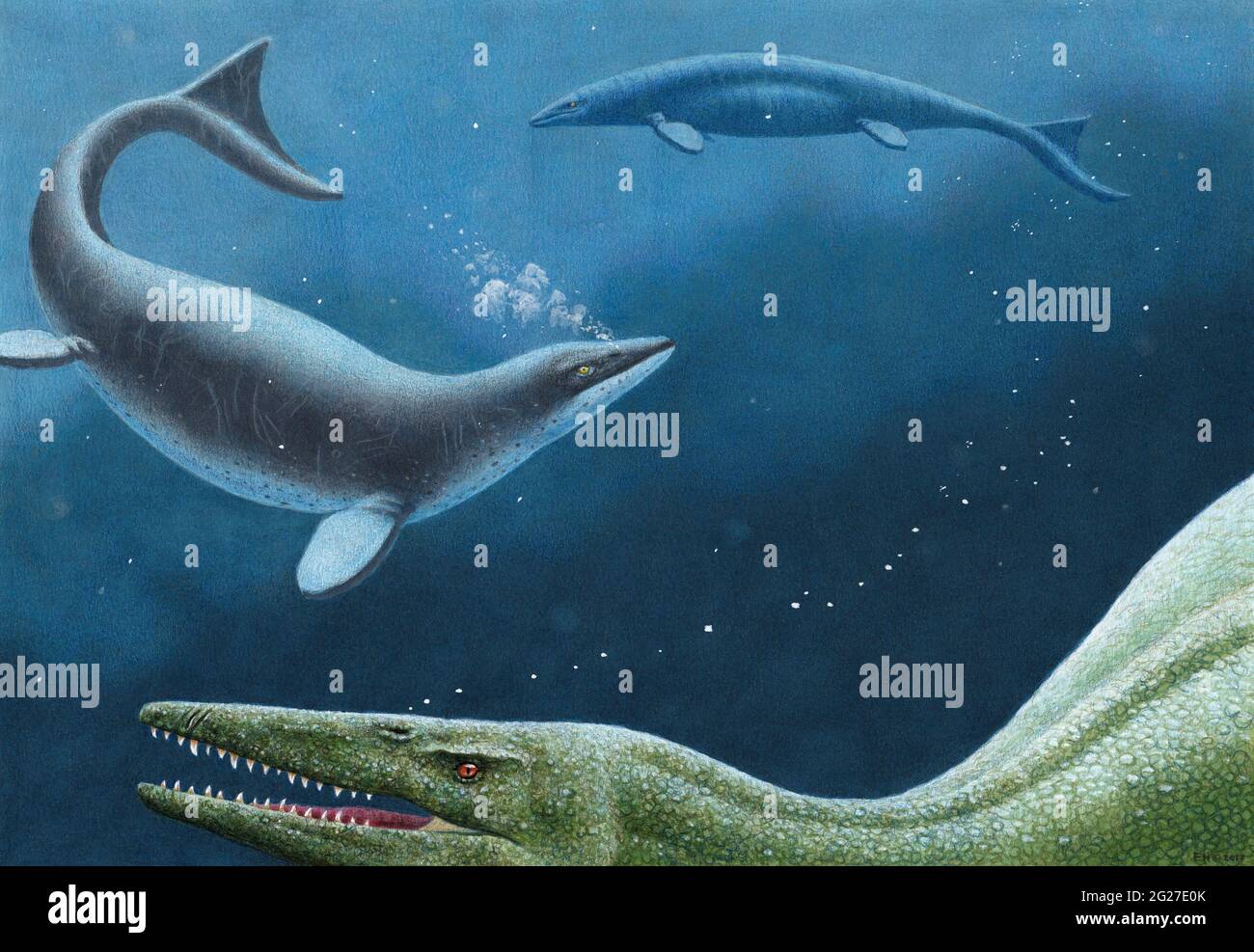 Mosasaur swimming in prehistoric hi-res stock photography and images ...