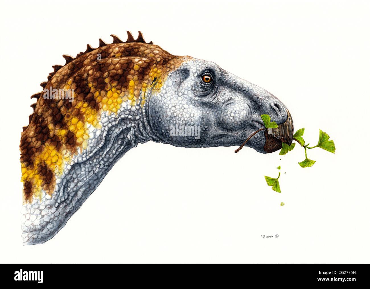 Hadrosaurus High Resolution Stock Photography and Images - Alamy
