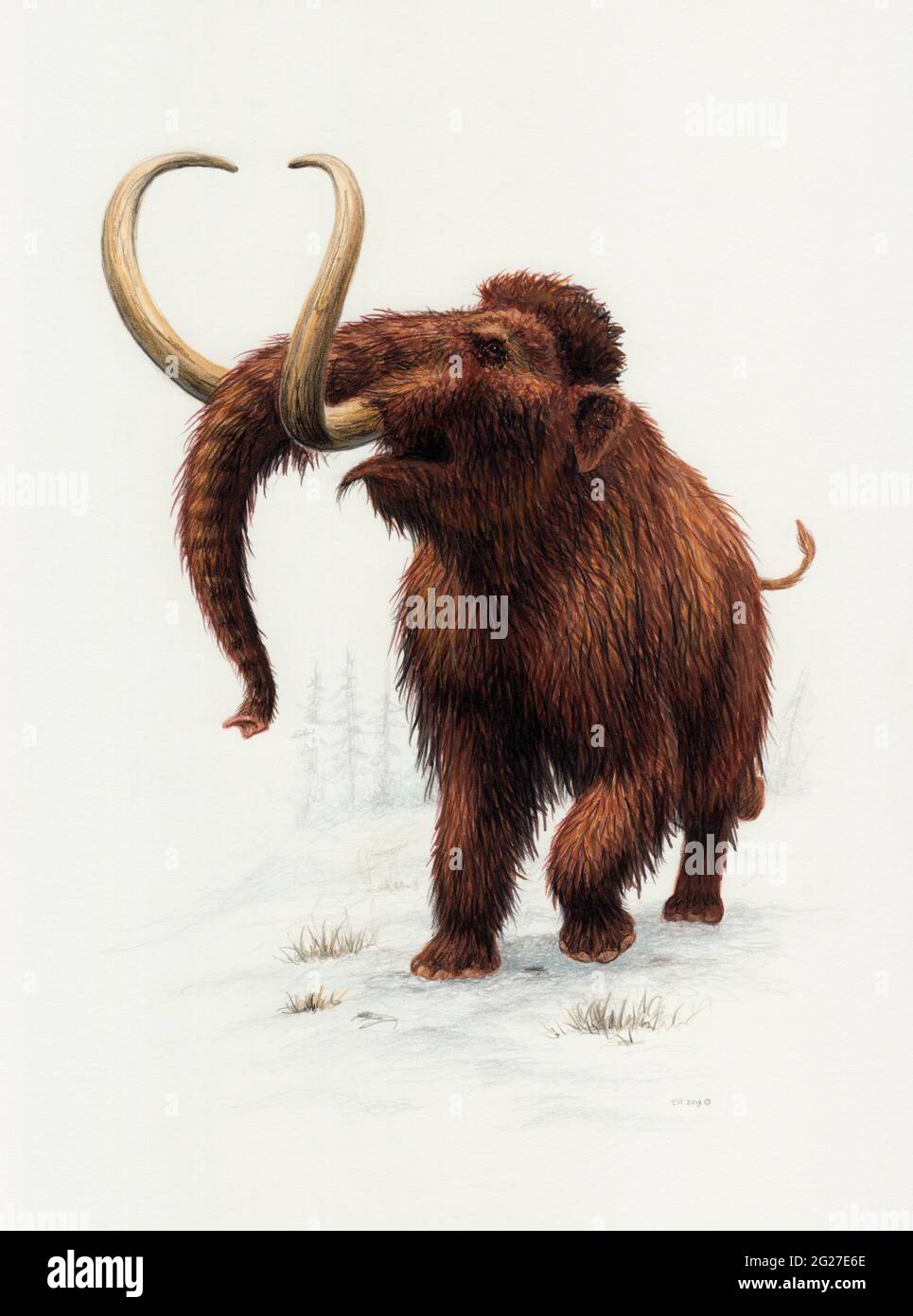 Quaternary era hi-res stock photography and images - Alamy