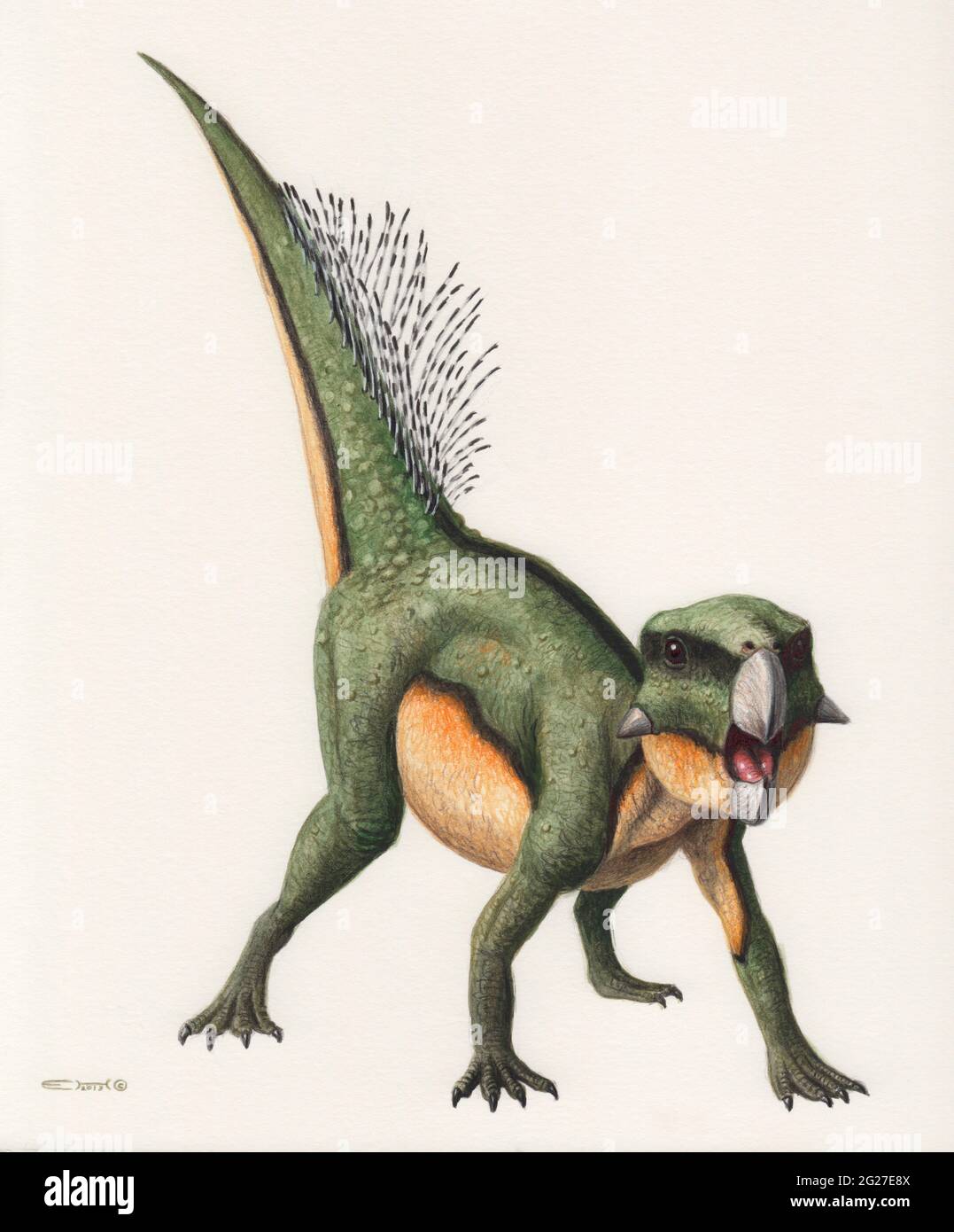 Psittacosaurus Dinosaur High Resolution Stock Photography and Images ...