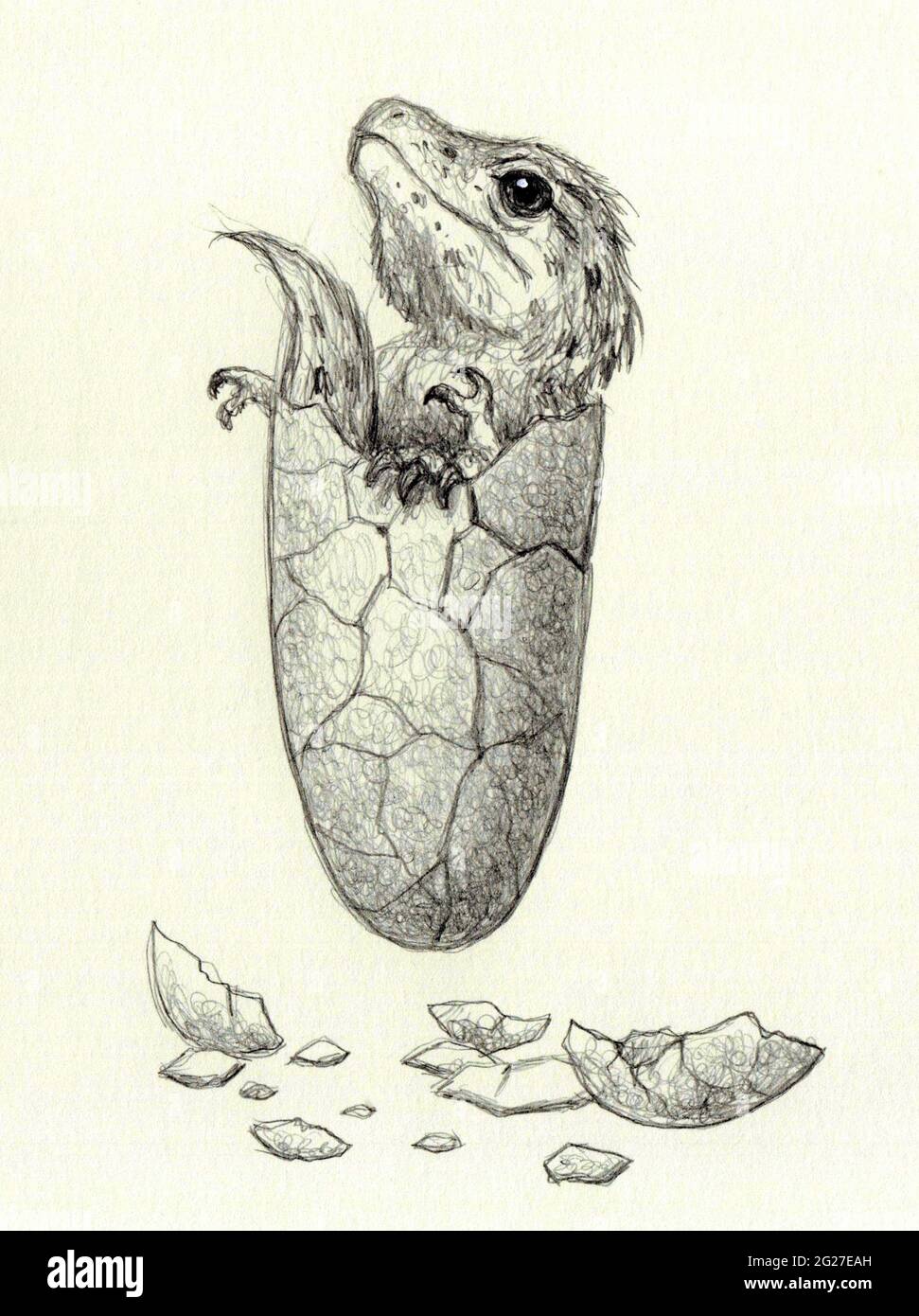 Dinosaur hatching from egg hi-res stock photography and images - Alamy