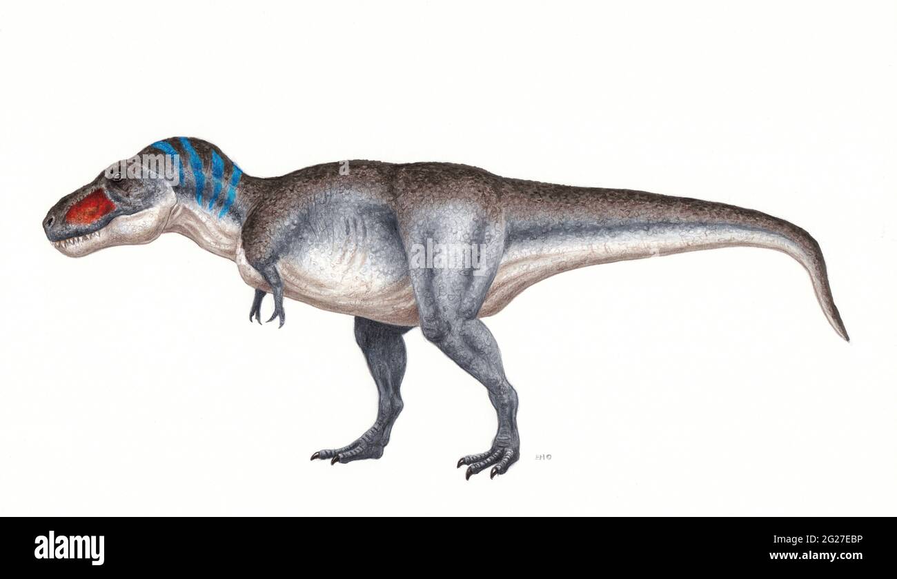 Tyrannosaurus rex dinosaur full body Cut Out Stock Images & Pictures ...