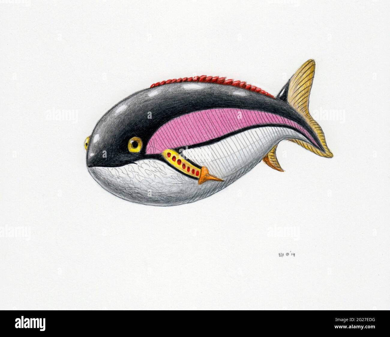 Extinct jawless fish hi-res stock photography and images - Alamy